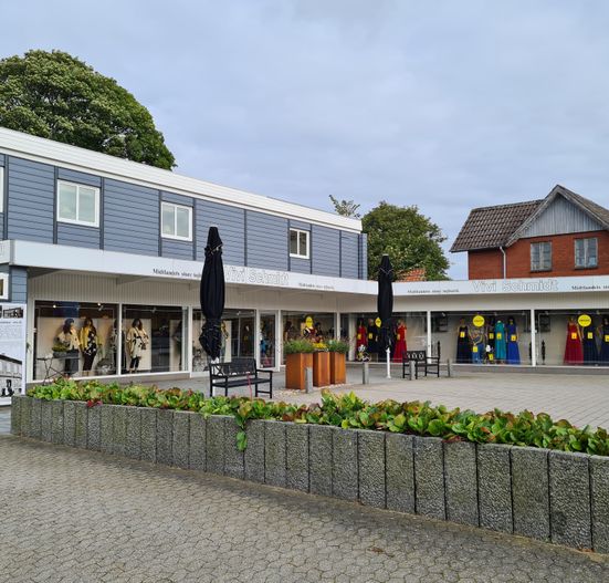 Vivi Schmidt - Byens Rens